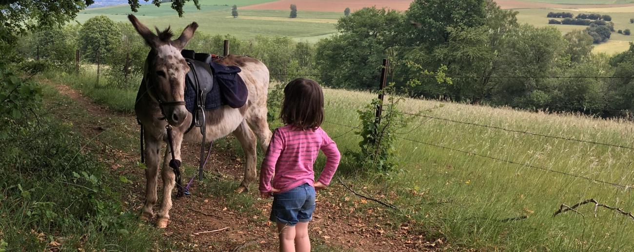 J’ai joué aux trois petits cochons à la Ferme Pédagogique de Liart ...