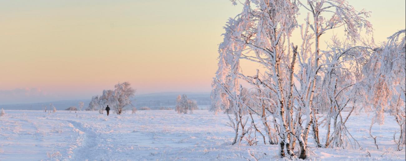 Les activités à faire en hiver en Ardenne - Tourisme en Ardenne