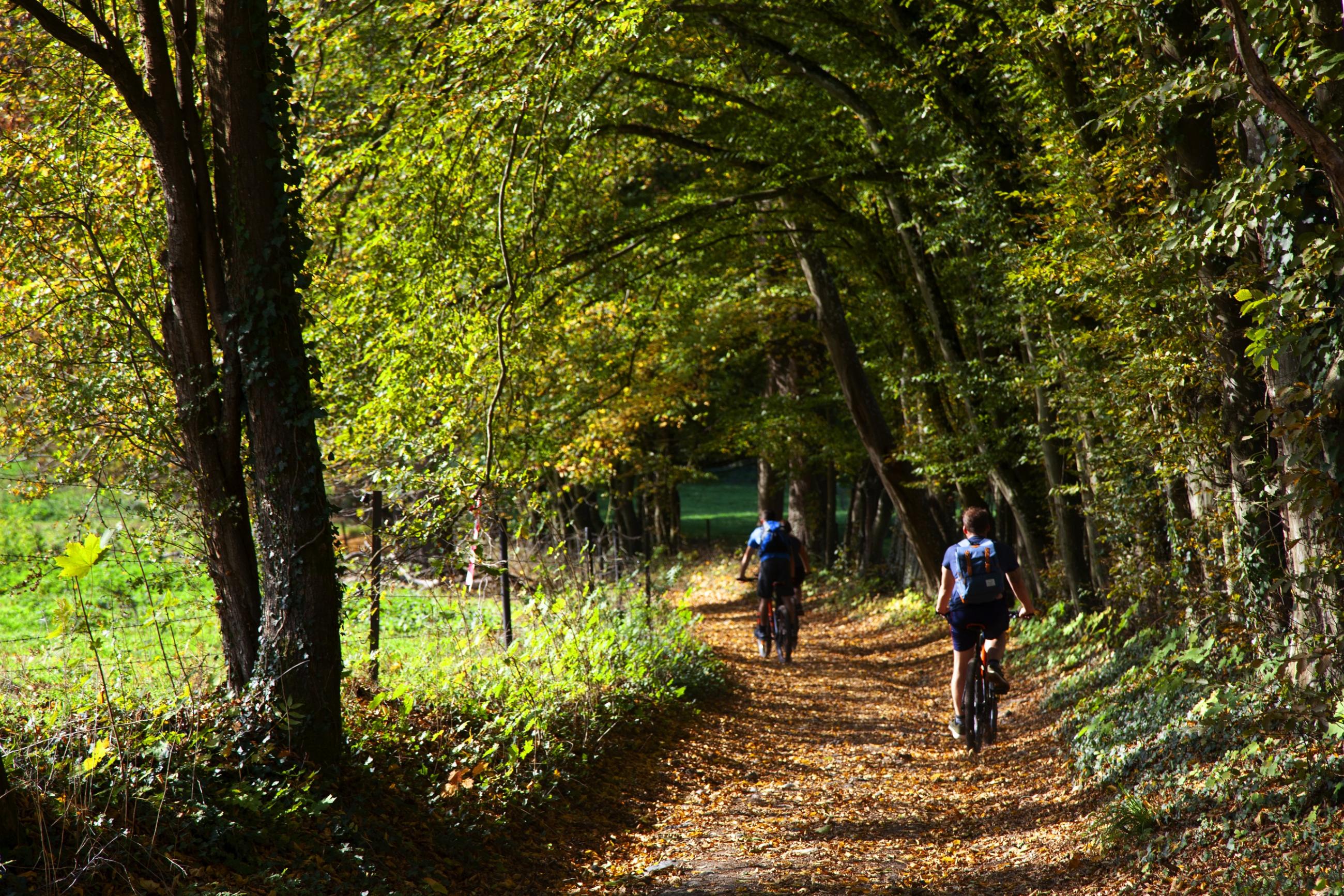 VTT en bord de Lesse - Tourisme en Ardenne