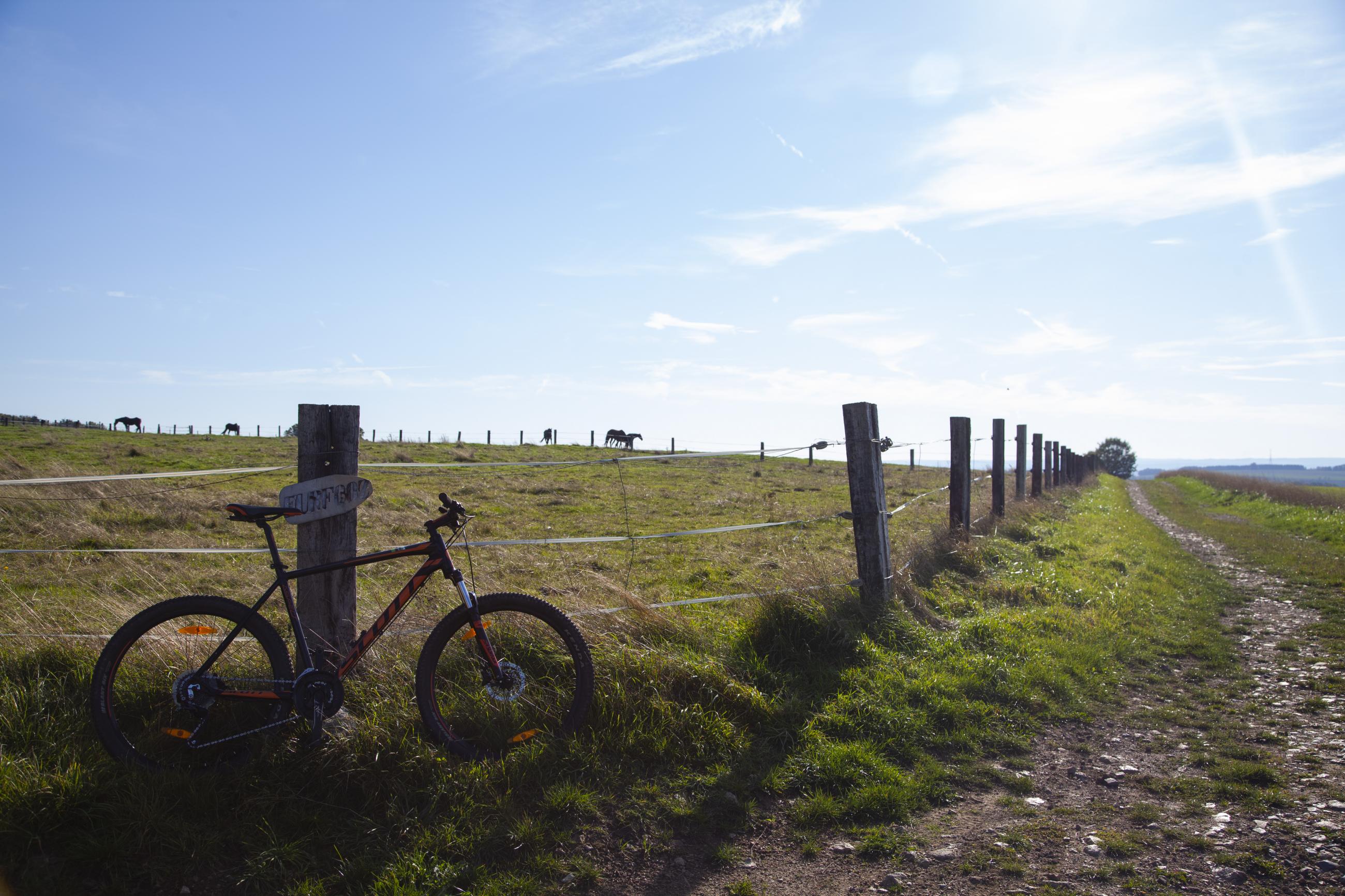 VTT en bord de Lesse - Tourisme en Ardenne