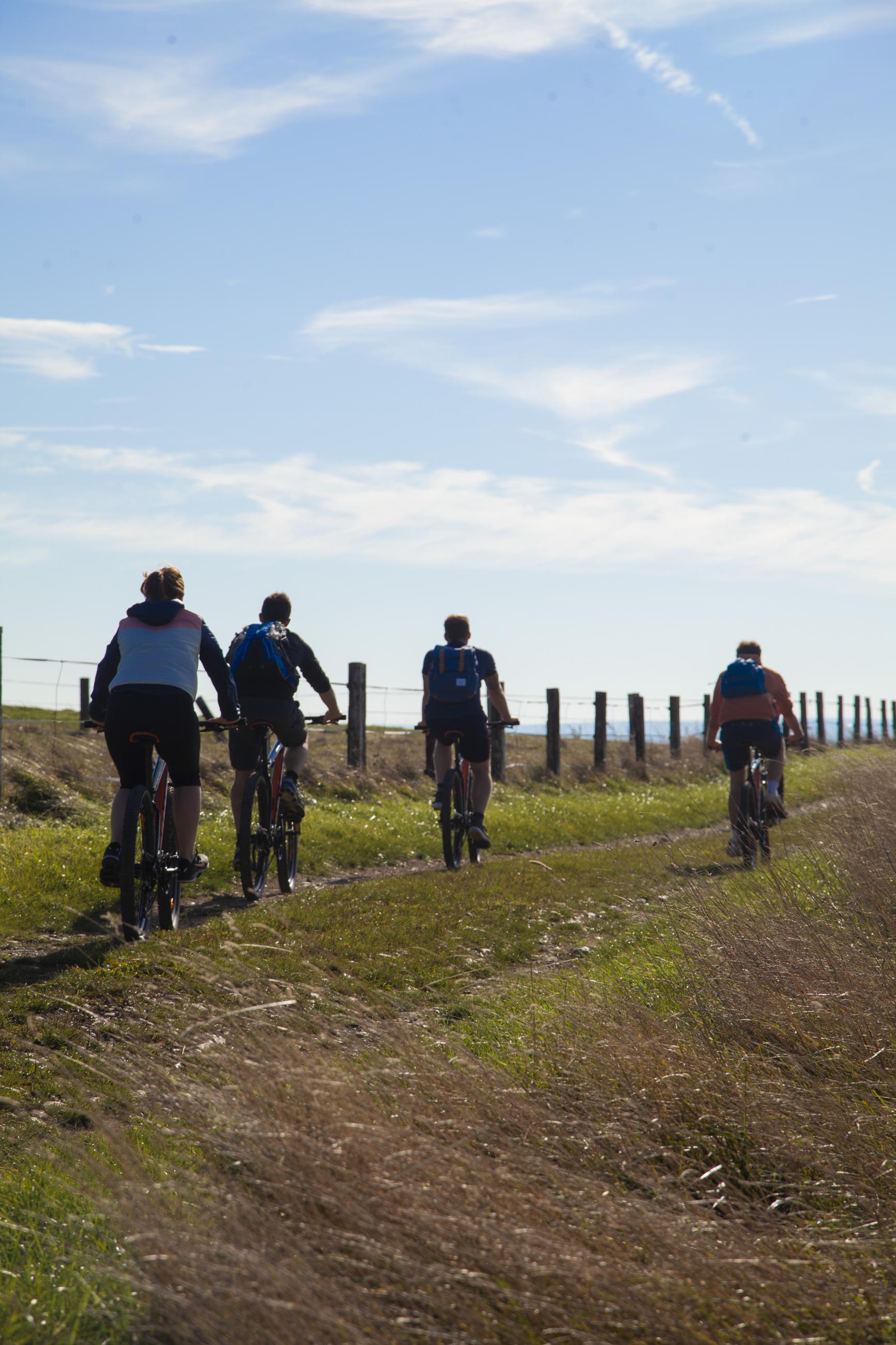 Moss Bikes, Mountainbike fahren an der Lesse - Outdoor - Tourismus in ...