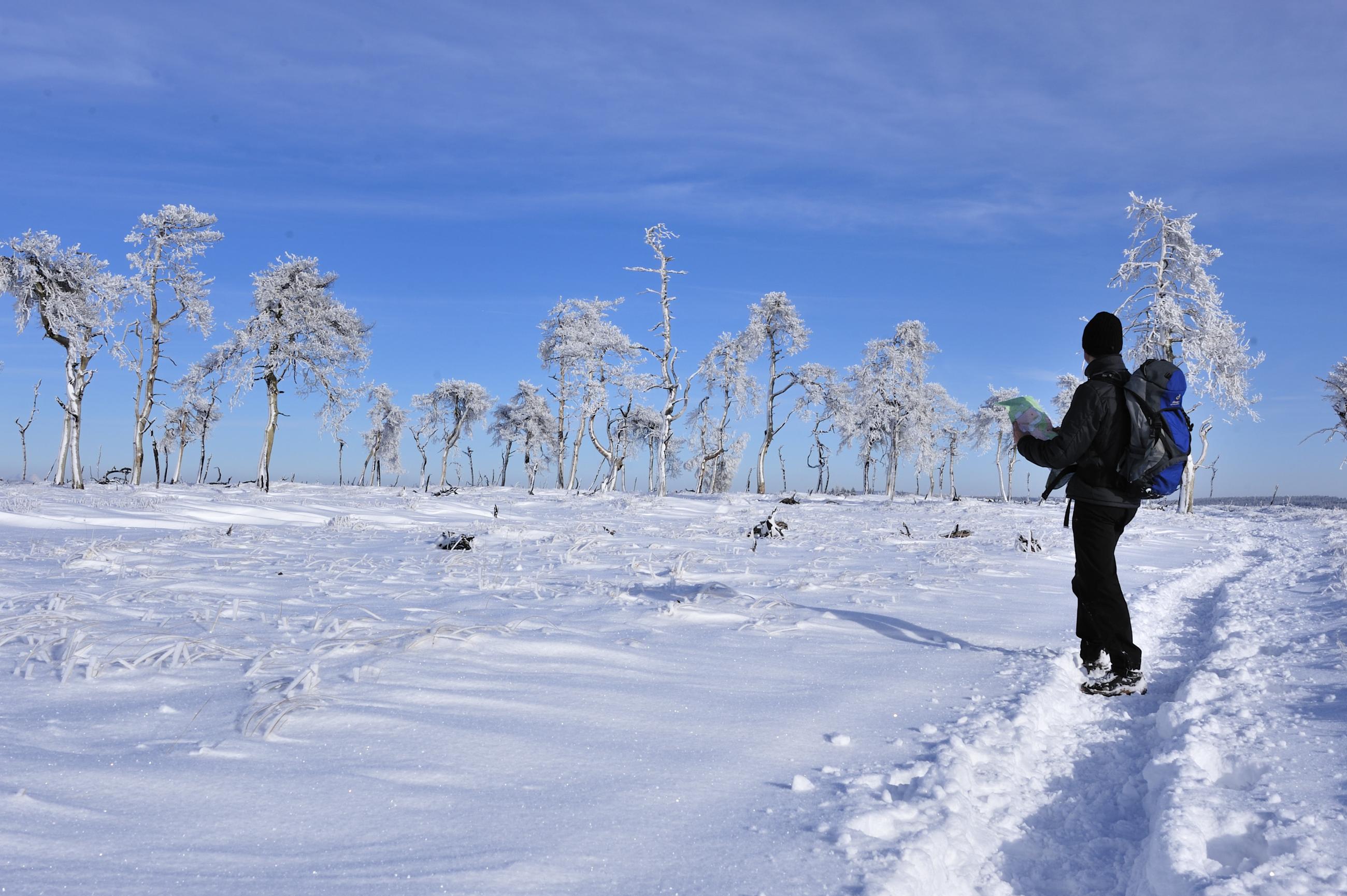 Randonner dans la magie de l'hiver - Tourisme en Ardenne