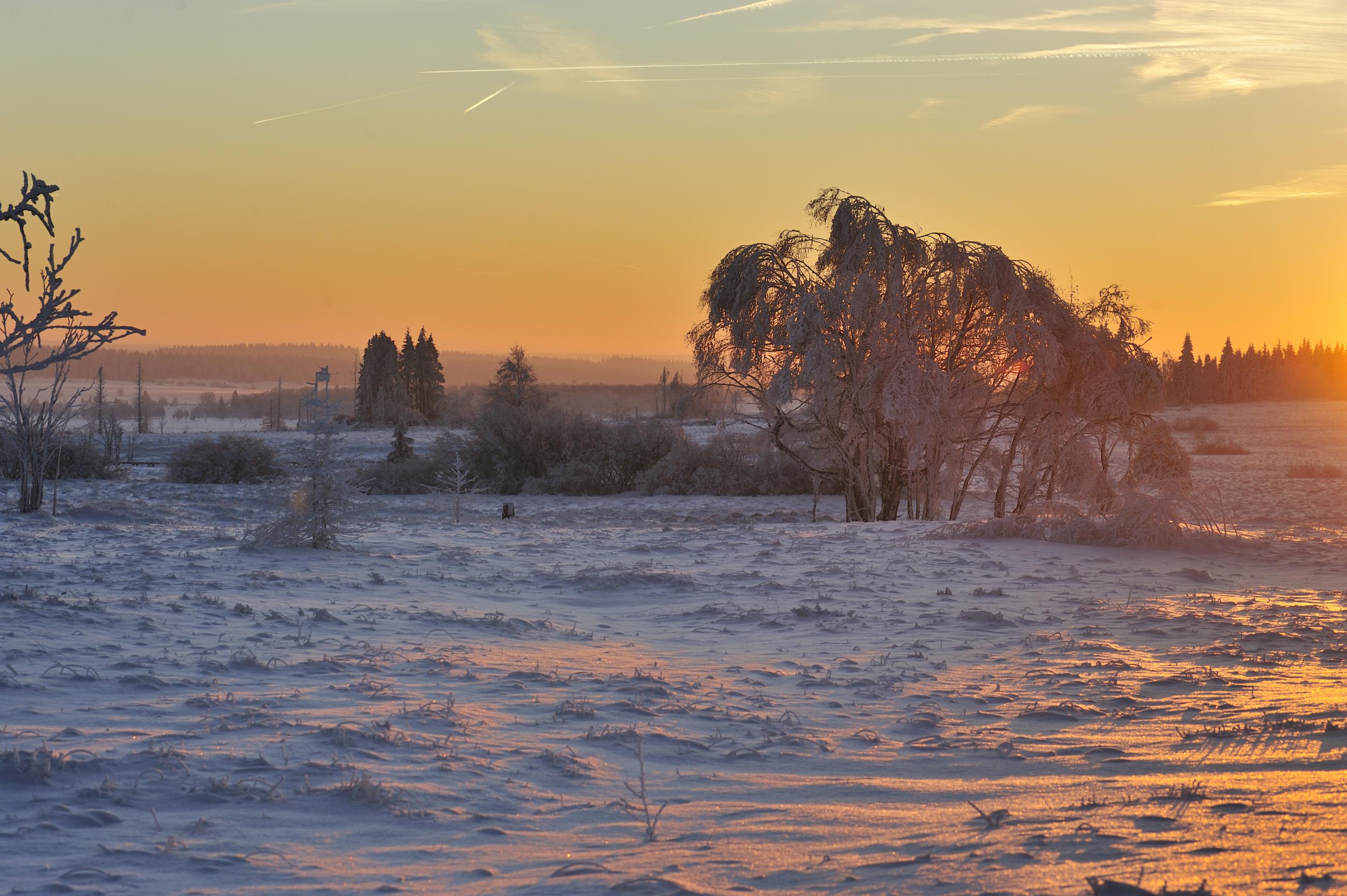 An enchanting hike amid the magic of winter - Slow tourisme - Tourism ...